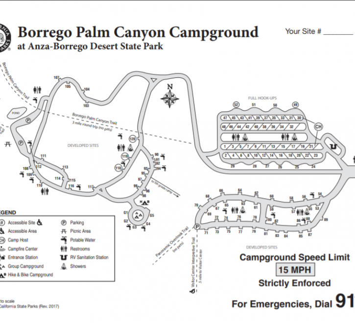 ABDSP Palm Canyon Campground | The Borrego Experience